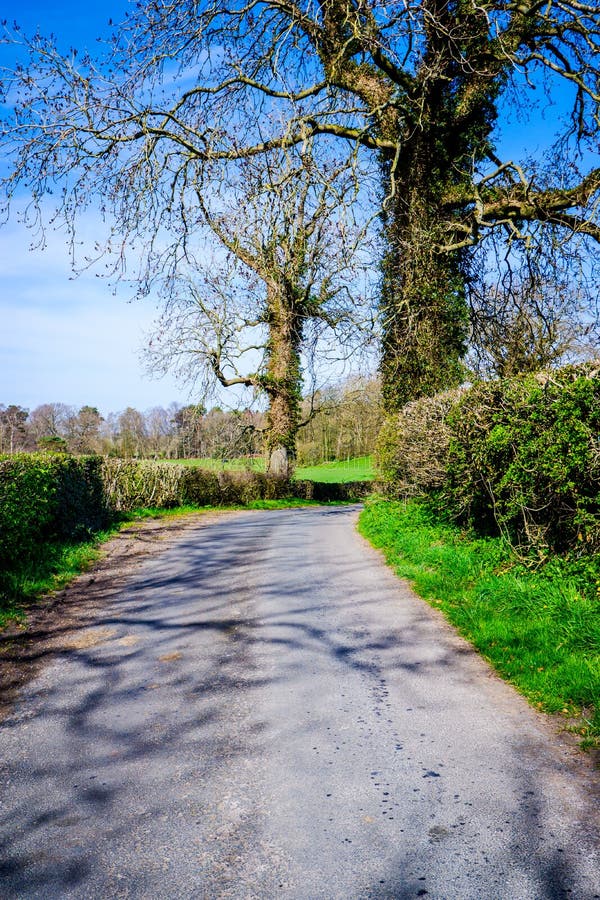 The Single Track Road in Lancashire on a Spring Day Stock Image - Image ...
