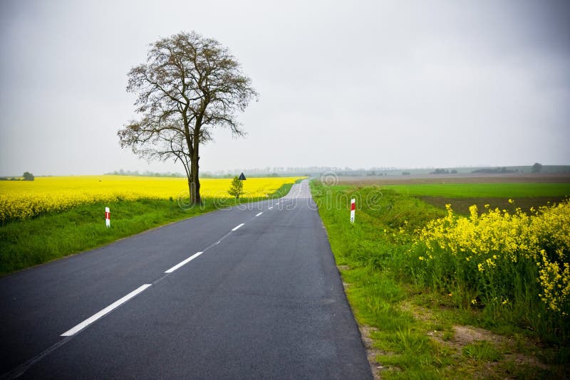Road stock image. Image of destination, beautiful, farmland - 9132193