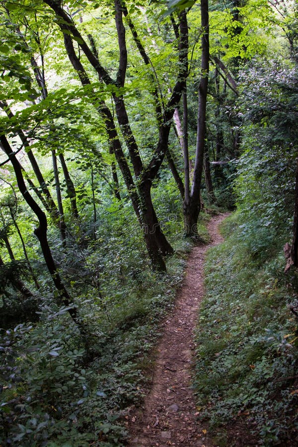 Single Track stock image. Image of italian, panorama - 121159209