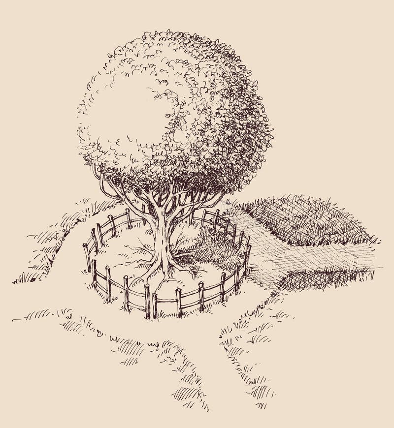 Tree drawing stock vector. Illustration of icon, drawing - 70460220