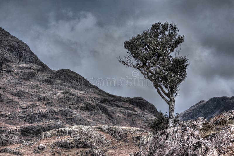 Dpullman - Photographer profile