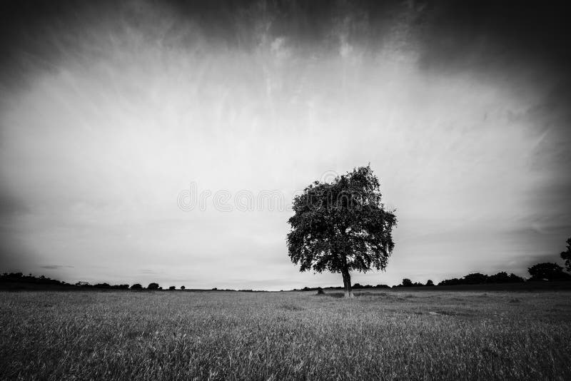 Black Nab stock photo. Image of sunset, black, monolith - 16224656