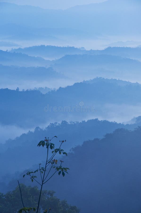 Single Tree with a Blue Mount As a Background Stock Photo - Image of ...