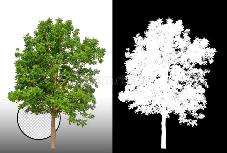 Channel Selection Stock Illustrations – 477 Channel Selection Stock ...
