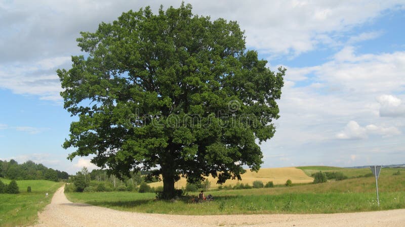 Crossroads stock photo. Image of road, land, crossroads - 100420604