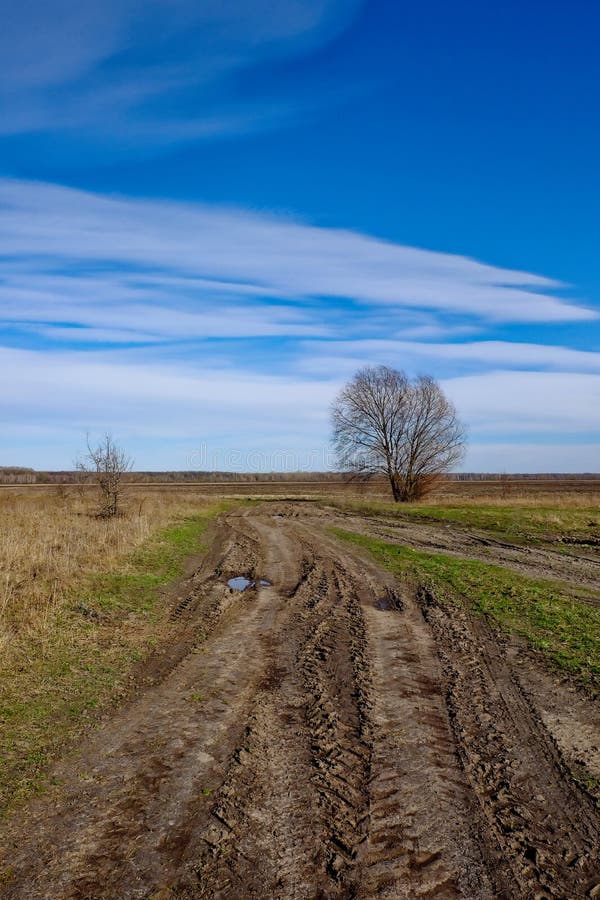 A Single Tree in a Field, a Dirt Road Curving Towards it Stock Photo ...