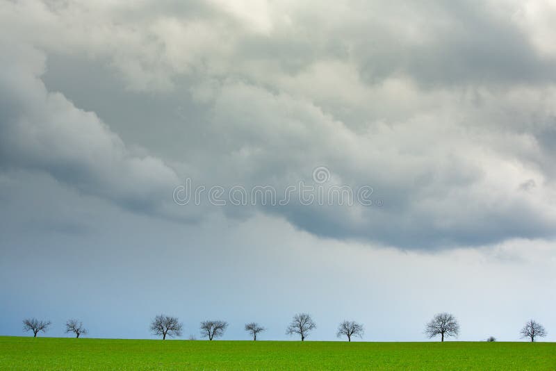 Single Tree and Grass Field with Dark Clouds and Blue Sky Stock Photo ...