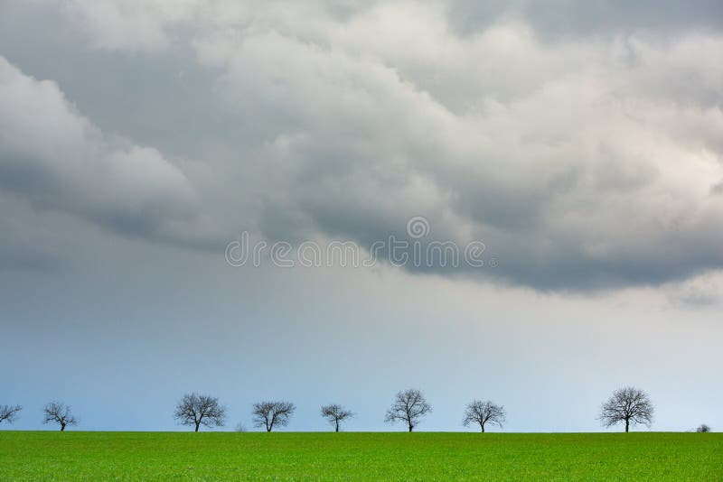 Single Tree and Grass Field with Dark Clouds and Blue Sky Stock Photo ...