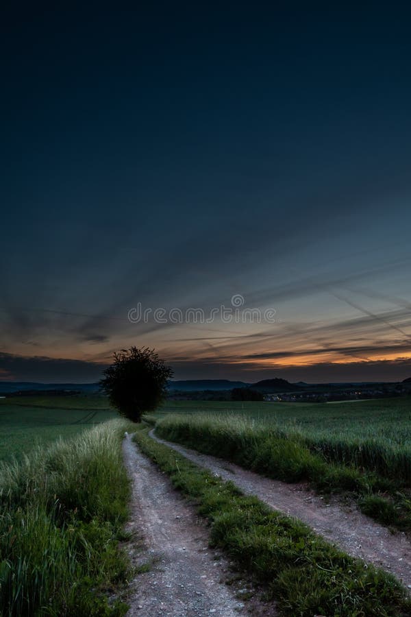 Single Tree on Green Cornfiled Infront of Thunderstorm Clouds at ...