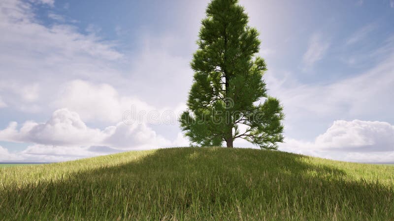 Single Tree on Green Lawn 3d Stock Illustration - Illustration of ...