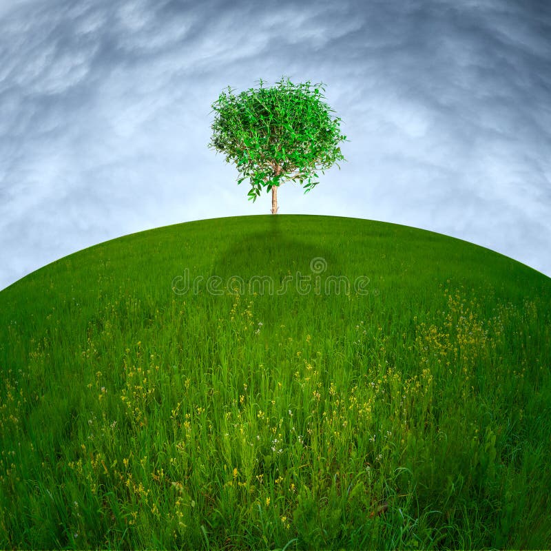 13,320 Single Tree Hill Stock Photos - Free & Royalty-Free Stock Photos ...