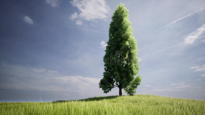 Single Tree on Hill Green Grass Lawn 3d Stock Image - Image of single ...