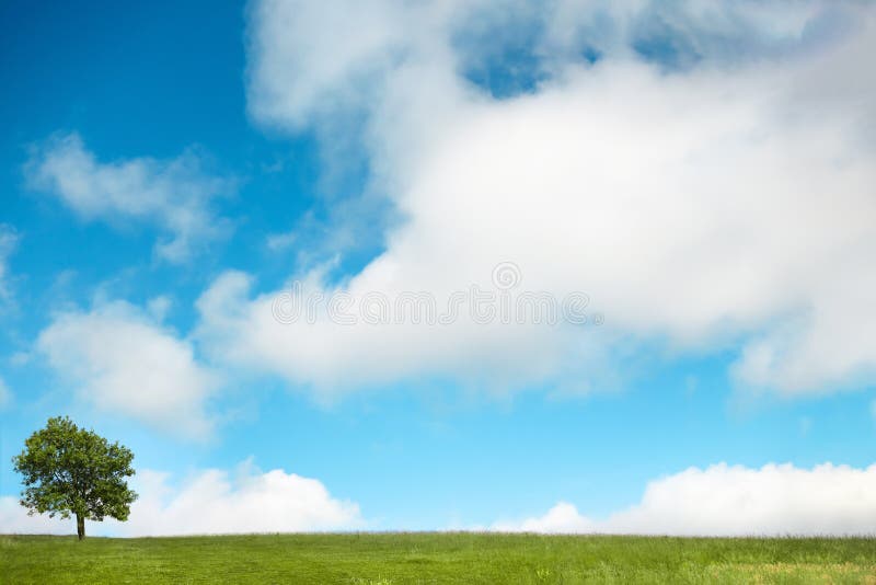 Frannyanne - Photographer profile