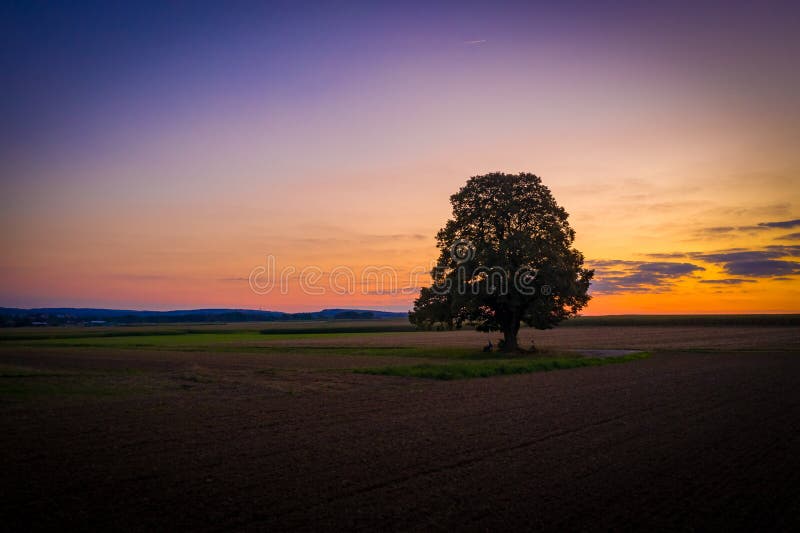 68,356 Single Tree Landscape Stock Photos - Free & Royalty-Free Stock ...