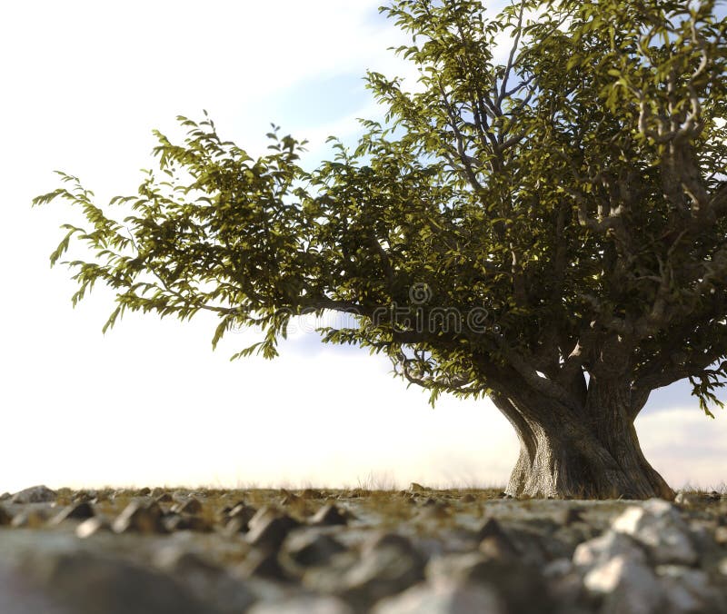 Desert Rock Formations, Valley of Fire State Park, Nevada, USA Stock ...