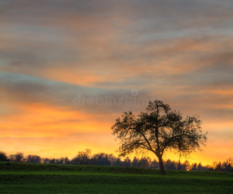 Beautiful Sunset on the Farm Stock Photo - Image of beautiful ...
