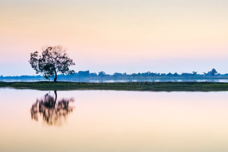 A Single Tree in the Middle of the Lake. Stock Photo - Image of serene ...