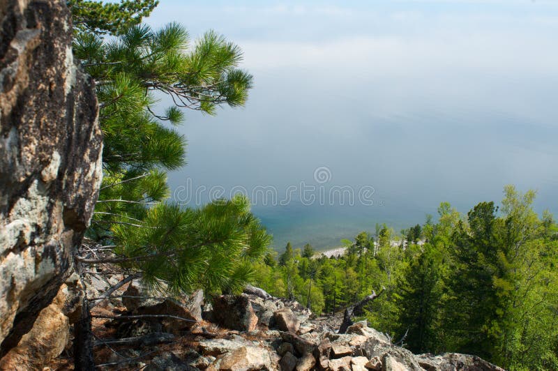 Single Tree between Mountains Stock Photo - Image of hiking, camp: 82356716