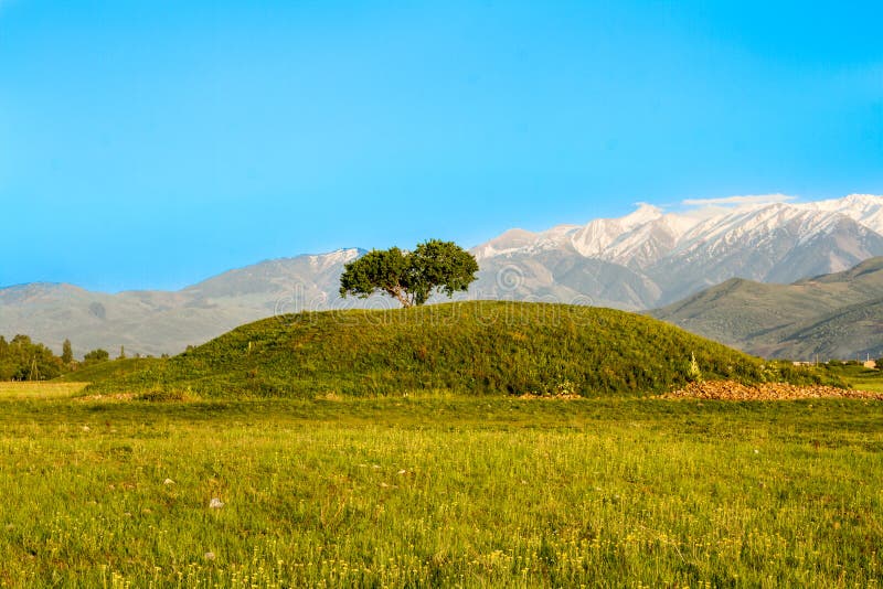 Single Tree and Mountains, Sky in Kazakhstan, Almaty, Road in Issyk ...