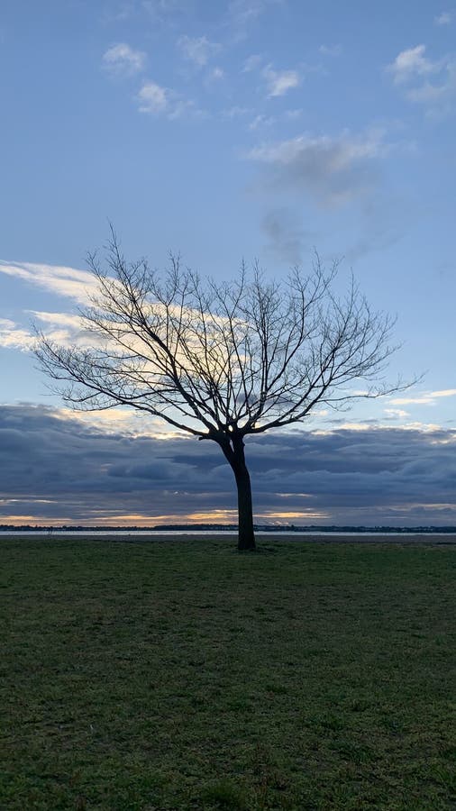 Treeandriver Stock Photos - Free & Royalty-Free Stock Photos from ...