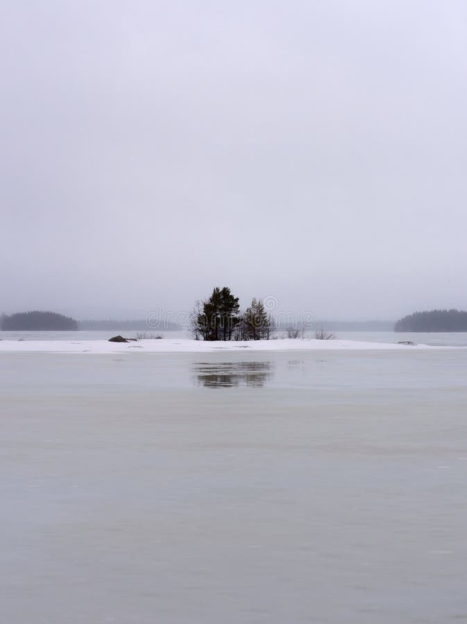 Single Tree Reflecting in Frozen Lake Cold Weather Stock Image - Image ...