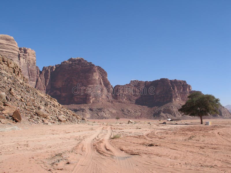 Single Tree and Road Wadi Rum Stock Photo - Image of colour, ecosystem ...