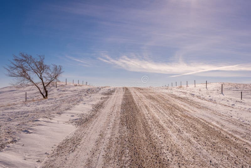 Single Tree on the Side of Gravel Road in the Winter on the Prairies ...