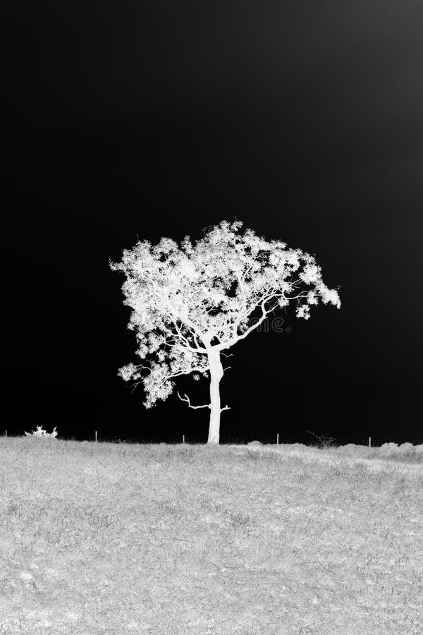 Inverse Logo Stock Photos - Free & Royalty-Free Stock Photos from ...