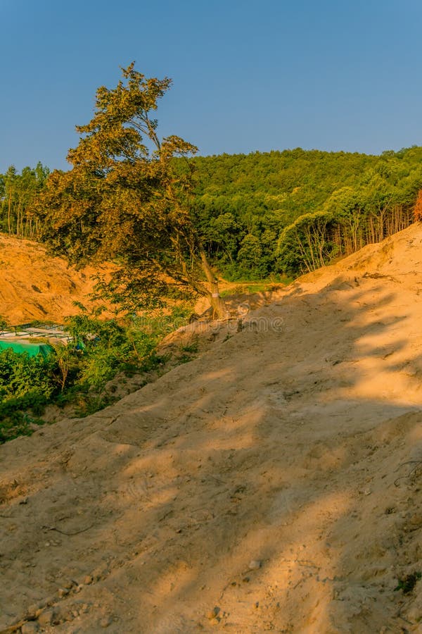 298 Tree Barren Hillside Photos - Free & Royalty-Free Stock Photos from ...