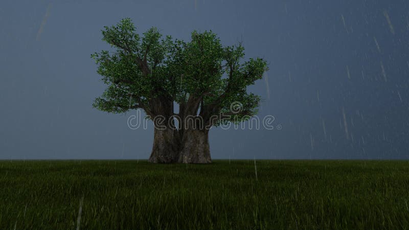 Single Tree Storm. Deep Dark Forest View. Side View Stock Video - Video ...