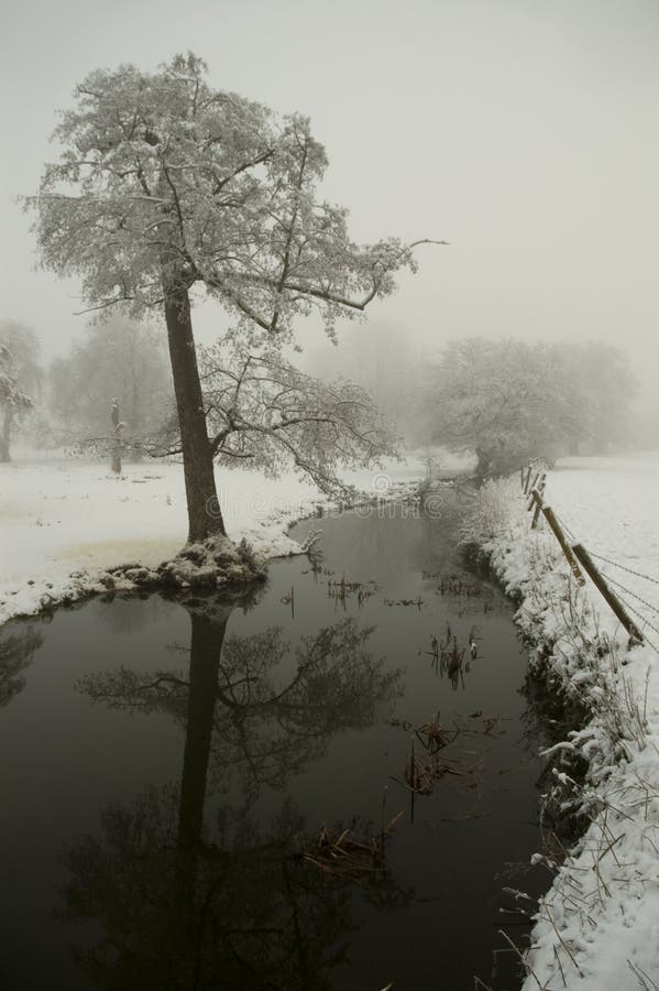 Single Tree and Stream with Misty Background Stock Image - Image of ...