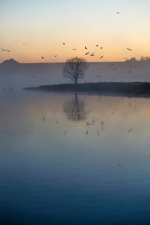 Single tree on tiny island stock image. Image of hill - 45967207