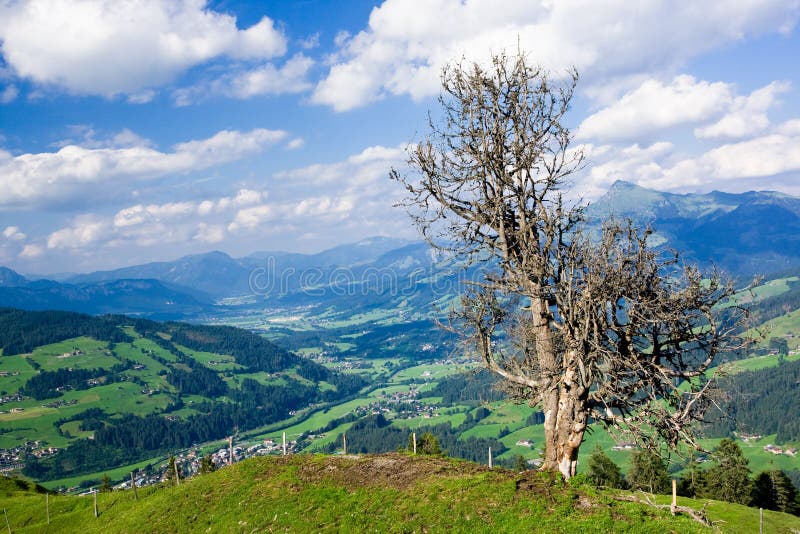 Tirol landscape stock image. Image of tree, clear, meadow - 20092281