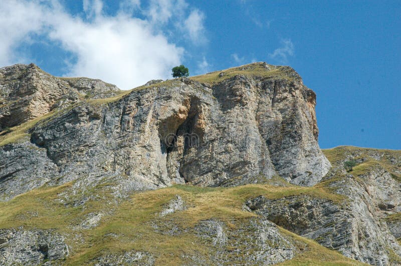 A Single Tree at the Top of the Mountain, Sar Mountain Stock Photo ...
