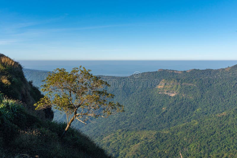 A Single Tree a the Top of the Mountain Stock Image - Image of growth ...