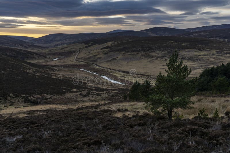 Single Tree with Valley and a Background Stock Image - Image of ...