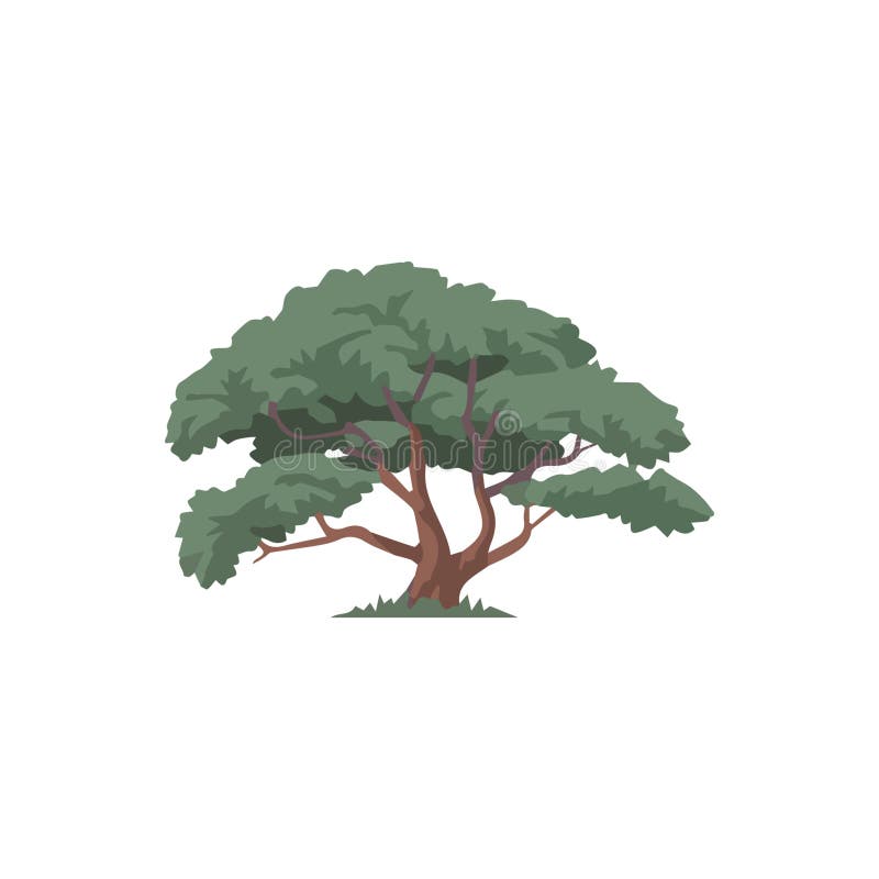 Single Tree Vector Art & Graphics Stock Illustration - Illustration of ...