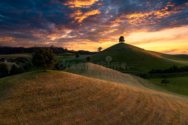 Single Trees on Hills during Sunset Stock Photo - Image of mountain ...