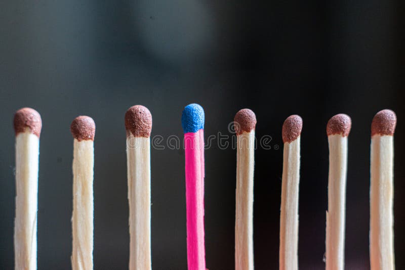 Single Unique Wooden Match among the Other Regular Ones, the Teamwork ...