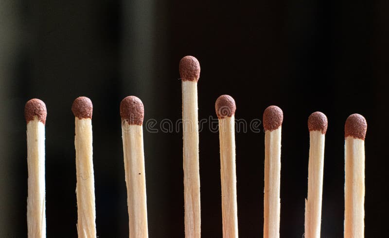 Single Unique Wooden Match among the Other Regular Ones, the Teamwork ...