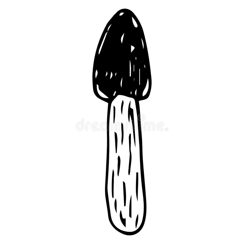 A Single Vector Element Mushroom White Background. Stock Vector ...