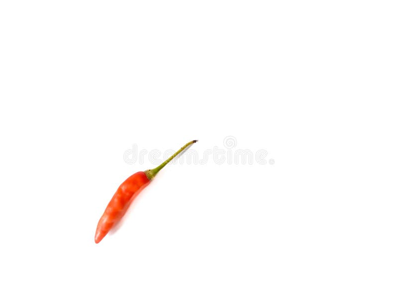 Single, Vibrant Red Chili Pepper Resting on a Clean White Background ...