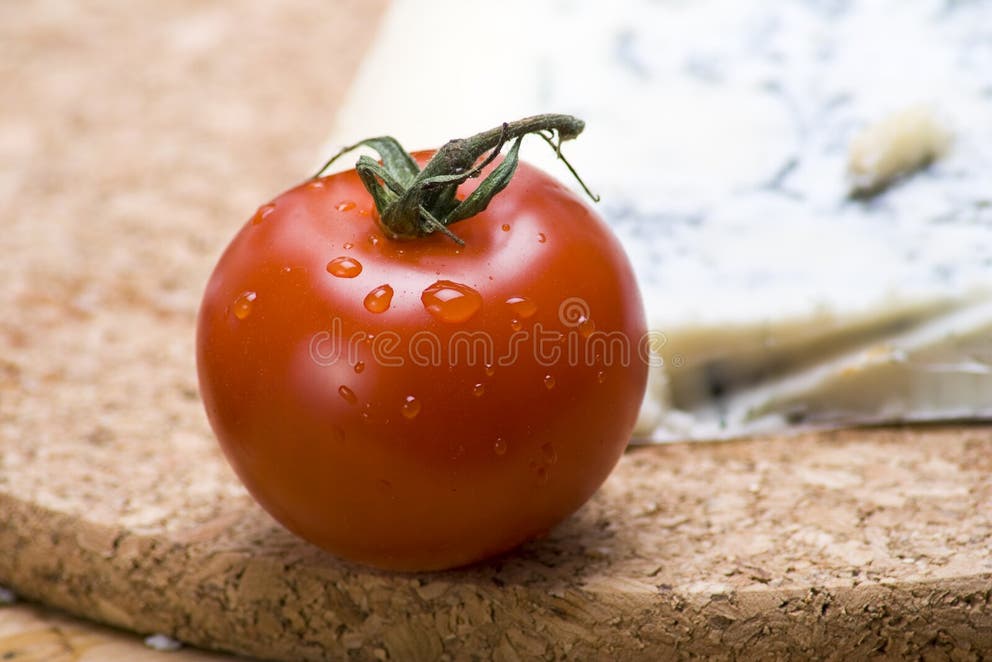 Single vine tomato stock photo. Image of cheese, organic - 9102312