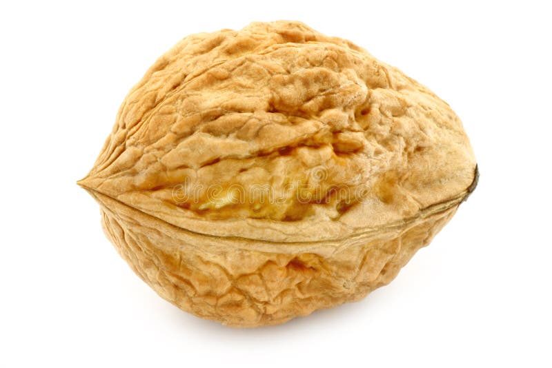 Walnut stock image. Image of cracked, full, nature, leaf - 22532509