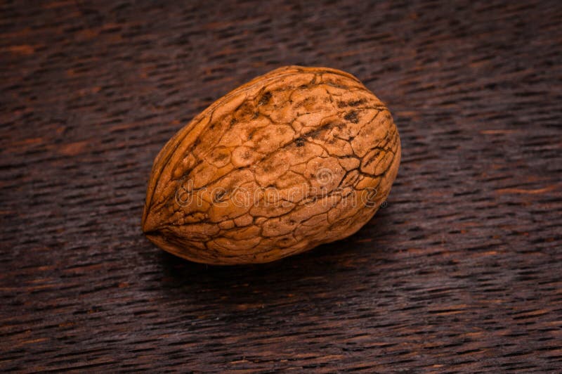 Single walnut stock image. Image of kitchen, texture - 38014151