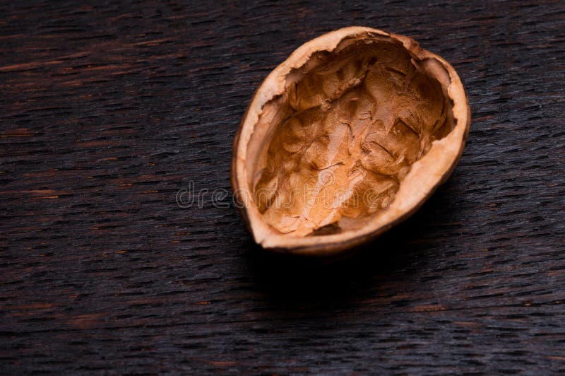 Single walnut stock photo. Image of magnesium, structure - 38046614