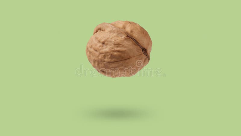 Walnut With Green Shell On White Background Stock Photo - Image of ...