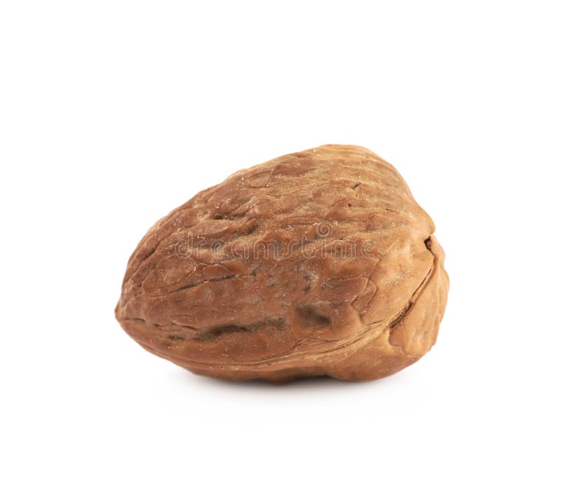 Single walnut isolated stock image. Image of husks, natural - 93497401