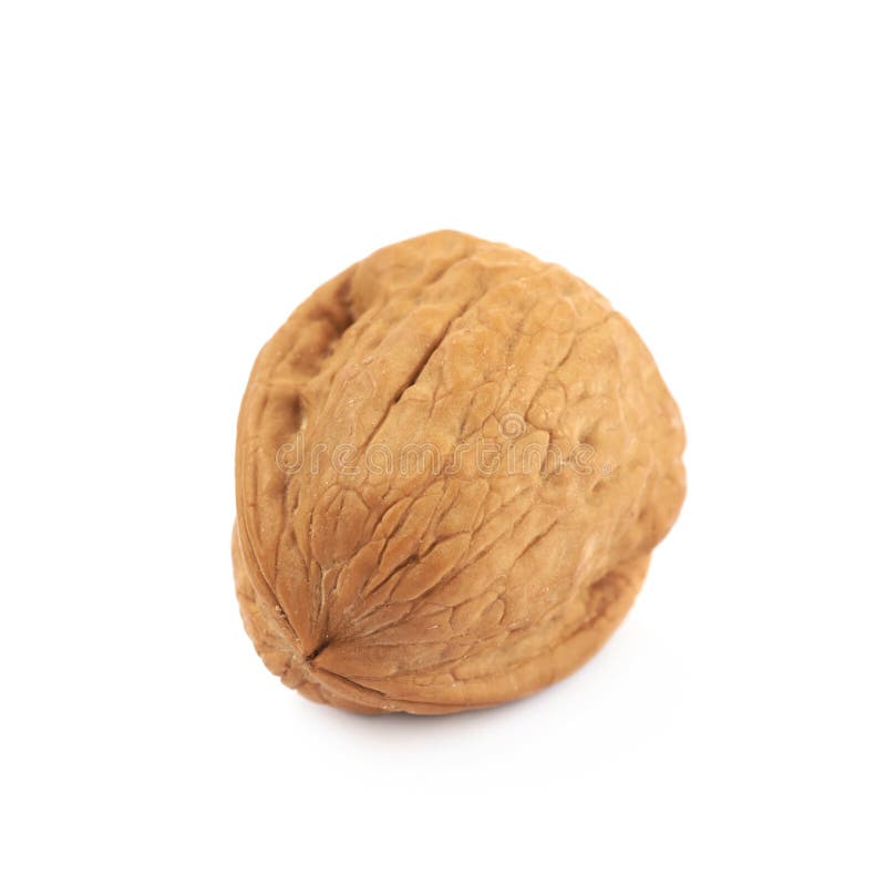 Single walnut isolated stock image. Image of husks, natural - 93497401