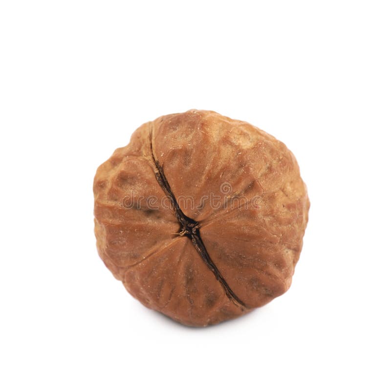 Single walnut isolated stock image. Image of group, background - 93074903